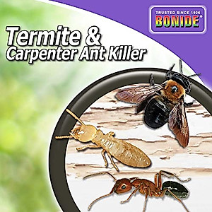 Bonide Chemical Co 567 Concentrate, 16 oz Termite & Carpenter Ant Killer