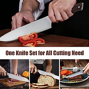 Enfmay 15 Pieces Kitchen Knife Set, Professional Kitchen Knives, Household Cutting Knives Set for Kitchen, Made of Germany 1.4116 Stainless Steel, Extra Sharpness Kitchen Knife Set with Block