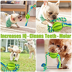 CHLEBEM Puppy Toys Interactive Dog Toys Balls for Small Medium Dogs Chew Teething Teeth Cleaning Treat Dispensing Durable Rubber Ball Dog Rope Toy for Tug of War Playing(Green)