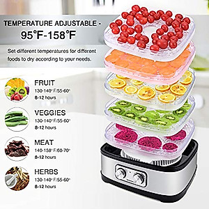 Seeutek Food Dehydrator Machine for Beef Jerky, Fruits, Vegetables Electric Dryer Machine with 5 BPA-free Trays, Adjustable Temperature Control, Recipe Book & 4PCS Reusable Storage Bags