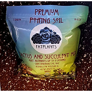Fat Plants San Diego Premium Cacti and Succulent Potting Mix Soil - for Cactus Palm Tree Citrus Plant Grown in Gardening Containers - Indoors & Outdoors Use - with Natural Food/Fertilizer