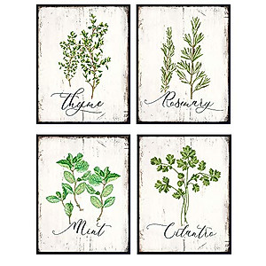 Botanical Herbs and Spices Kitchen Decor - Dining Room Decor - Larousse Gastronomique Wall Art for Cafe, Restaurant - Gift for Cooks, Chefs - Rustic Vintage Sign Photo Decoration - 8x10 UNFRAMED
