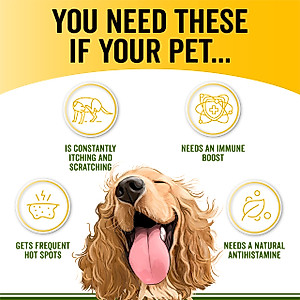 ZooChews Allergy Support Treats - Dog Allergy Relief Chews with Omega 3 Colostrum, Biotin - Supports Skin and Coat for Dogs and Seasonal Allergies - Dog Vitamins for Immune Support (Duck, 180 Chews)