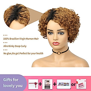 Quantum Love Human Hair Wigs Curly Wave Side Part Wig Short Bob Pixie Cut Brazilian Remy Human Hair Deep Curly None Lace Front Wigs for Women Ombre Black Brown Color