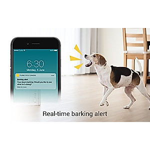 Furbo Dog Camera (2 Pack): Treat Tossing, Full HD WiFi Pet Camera and 2-Way Audio, Designed for Dogs, Compatible with Alexa (As Seen On Ellen)