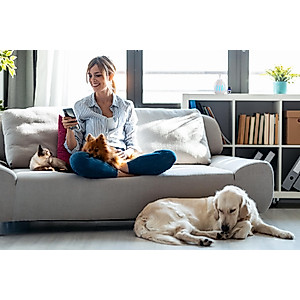 Peaceful Pets Calming Essential Oil - Natural Stress Relief & Anxiety Relief for Cats & Dogs - Drug-Free Calming Solution