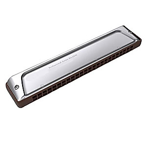 WAAZVXS Harmonica Key C 24 Holes Harp Phosphor Bronze Reeds ABS Comb Musical Instruments Professional (Color : 2430 Key C)