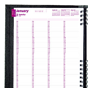 Brownline 2023 CoilPro Daily Professional Planner, Four-Person Appointment Book, 12 Months, January to December, Twin-Wire Binding, 11" x 8.5", Black (CB960C.BLK-23)