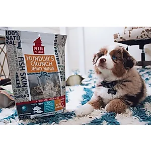 Hundur's Crunch Single Ingredient Cod Skin Dog Treats – Minis