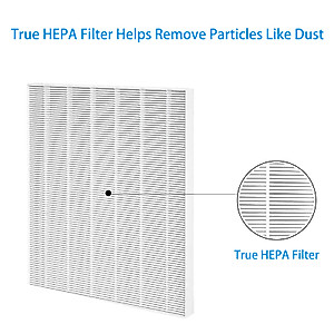 2 Pack True HEPA D4 Replacement Filters Compatible with Winix D480 Air Purifier, Item Number 1712-0100-00, Filter D4