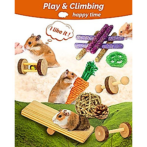 OVERTANG Hamster Toys, Guinea Pig Toys, 18 Pcs Wooden Hamster Toy Set Natural Apple Wood Small Animal Chew Molar Toys for Teeth for Rabbit, Chinchilla, Gerbils, Rats Exercise Accessories