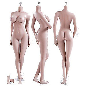 HiPlay TBLeague 1/6 Scale 12 inch Female Super Flexible Seamless Figure Body, Standard Body Type, Minature Collectible Action Figures (Pale Skin, S10D)