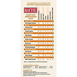 Kaytee Nyjer Wild Bird Food Seed, 5 Pound