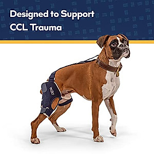 Balto Jump CCL Brace – Dog Knee Brace – Brace with Aluminum Splints – Pre/Post Surgery Support Helps Prevent New Injuries (Right Leg, X-Large)