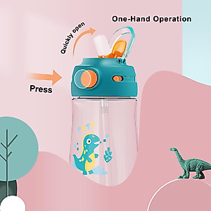 Sunday Merry Water Bottle with Straw, Leak Proof and Portable Plastic Water Bottle,Tritan BPA-Free, Sports Drink Bottle Design for Children, Adults, Cycling, School & Office, 420ml