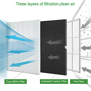 VIEWALL 116130 Replacement Filter H Replacement Compatible with Winix 5500-2 Air Purifier and Models AM80, HEPA Filters + Activated Carbon Filter Combo Pack