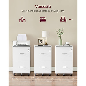 VASAGLE 2-Drawer File Cabinet, Locking Filing Cabinet for Home Office, Small Rolling File Cabinet, Printer Stand, for A4, Letter-Size, Assembly Required, Honey Brown and Ink Black ULCD027T46V2