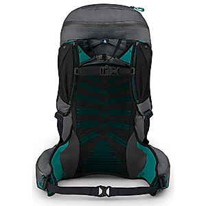 Osprey Tempest Pro 28 Women's Hiking Backpack, Titanium, Medium/Large