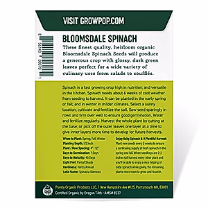 Purely Organic Spinach Seeds (Bloomsdale Long Standing) - Approx 300 Seeds - Certified Organic, Non-GMO, Open Pollinated, Heirloom, USA Origin