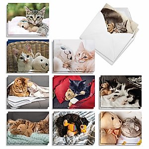 The Best Card Company - 20 Assorted Boxed Thank You Note Cards with Envelopes (4 x 5.12 Inch) - Teddy Cat AM2821TYG-B2x10