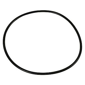 Tiki Island Pool Express Pool Pump Seal Bracket O-Ring Compatible with 355619 Superflo, Pinnacle