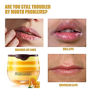 Honey Lip Balm Pot, Propolis Lip Mask, Strawberry Hydrating Propolis Lip Sleeping Mask, Prevent Dry&Cracked, Lip Repair Nourishes the Lip Skin (Honey & Strawberry)