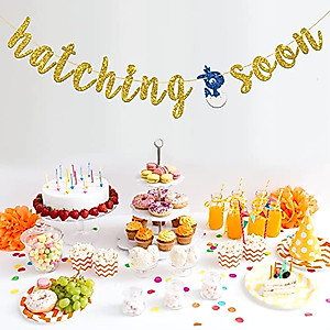 INNORU Hatching Soon Banner, Dinsaur Theme first Birthday Party Decorations, Baby Shower, Happy Birthday Party Decorations Gold Glitter