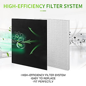 I clean Repleaement Winix C545 Filter, 2pcs HEPA Filters + 8 pcs Carbon Pre Filters Compatible with Winix C545,Replaces Winix S Filter 1712-0096-00