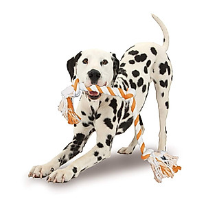 Ethical Pets Dental Rope 2-Knot Chew Toy, Small/9"