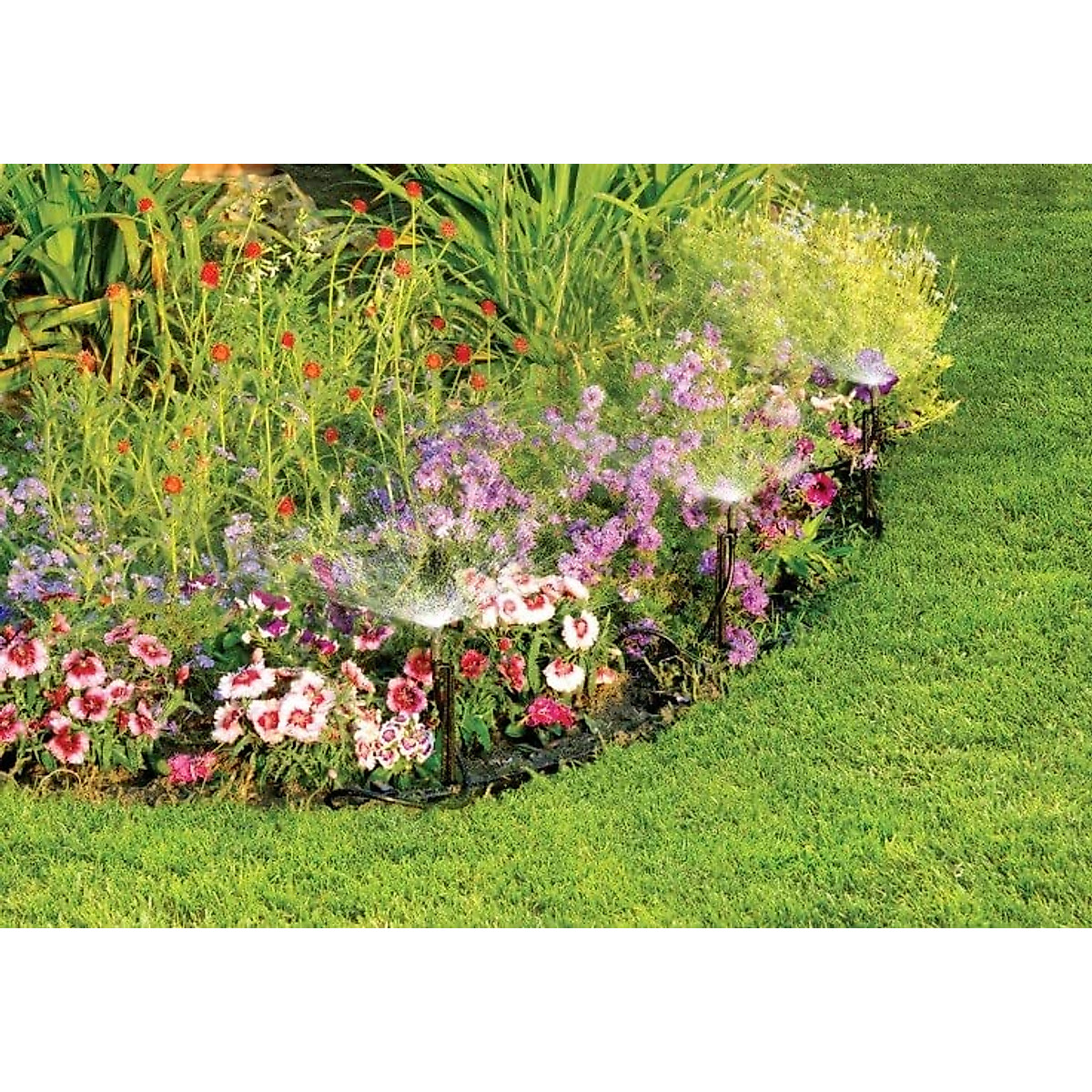 Lily's Home Above Ground Sprinkler System. DIY Irrigation System for Raised Garden Bed, Grass, Shrubs, Flowers, Vegetables. 6 Micro Sprinklers Set Connecting Directly to Your Garden Hose