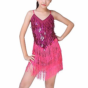 Latin Dance Dress Tassel Salsa Dancewear Sequin Fringe Dress Modern Ballroom Cha Cha Dancer Outfits for Girls (US, Age, 8 Years, 9 Years, Rose)