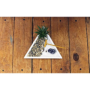 Nature's Mark Mini Zen Garden Kit for Desk with Rake, White Sand, White Triangle Base, Crystal Rock, Mini River Rocks and Air Plant, (7Lx6W Triangle W)