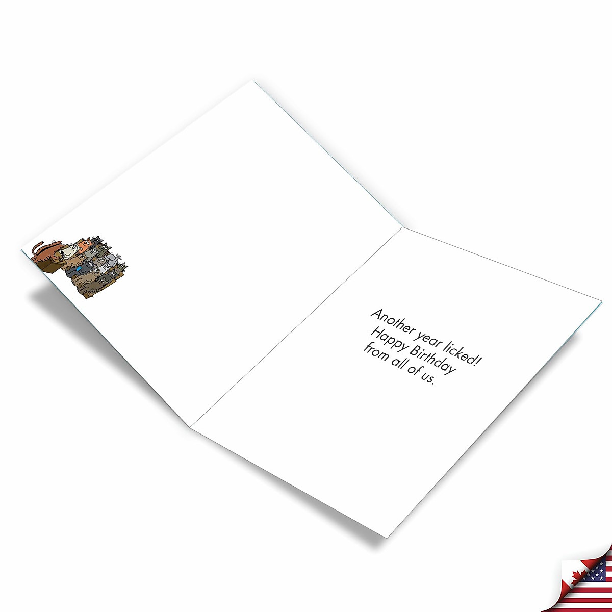 NobleWorks - Jumbo Birthday Greeting Card (8.5 x 11 Inch) - Cartoon Humor, Notecard with Envelope - Cat Question J3674BDG-US