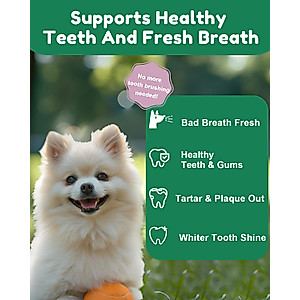 SANTKOL Dog Dental Powder - Dog Teeth Cleaning Powder with Green Tea, Lysozyme, Brown Algae - Dog Dental Care Targets Tartar, Plaque & Bad Breath - Dog Breath Freshener - for All Dogs, 80g