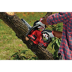 CRAFTSMAN V20* Cordless Chainsaw, 12-Inch (CMCCS620M1)