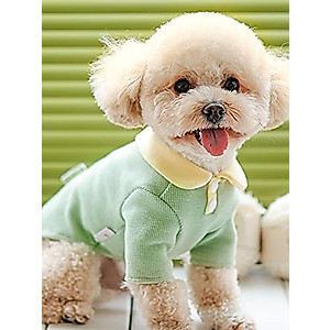 Milumia Pet T Shirt for Small Medium Dogs Puppy Outfits Bow Color Block Cat Clothes Green Medium