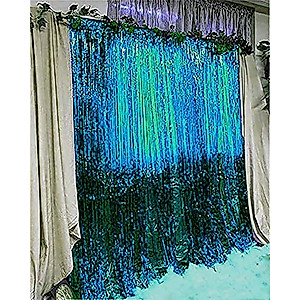 Dr Seuss Cat in The Hat Birthday Party Decorations/Dr Seuss Baby Shower/Thing One and Thing Two Birthday/Red Blue Fringe Foil Curtains Backdrop Circus Carnival Party/Nurse Graduation Deorations