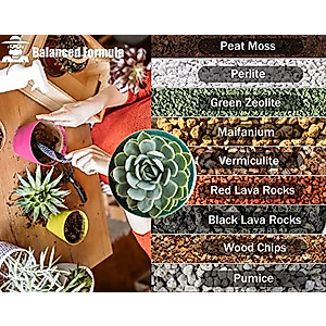 O-FarFarm Succulent Soil Potting Mix 1.1 LBS, Optimized PH Fast Draining with Added Nutrients, Perfect for Small Succulent Pots