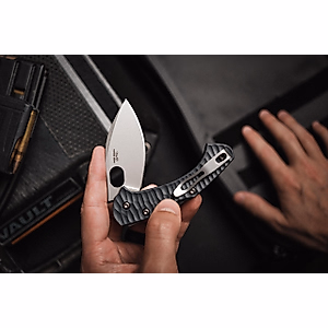 Fox Knives Zero 2.0 Desert Warrior FX-FA311 GY, Jens Anso Design Lockback Folding Pocket Knife, 6.30in N690Co Stainless Steel Blade, FRN Handle, Thumb Hole Opener, EDC Every Day Carry (Gray)