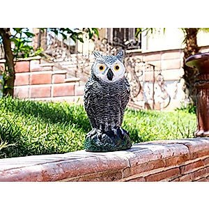 BRITENWAY Ultimate Scarecrow Owl Decoy Statue Realistic Fake Owl Outdoor Bird Deterrent, Hand-Painted Garden Protector, Scares Away Squirrels, Pigeons, Rabbits & More 10,5” Hollow Design
