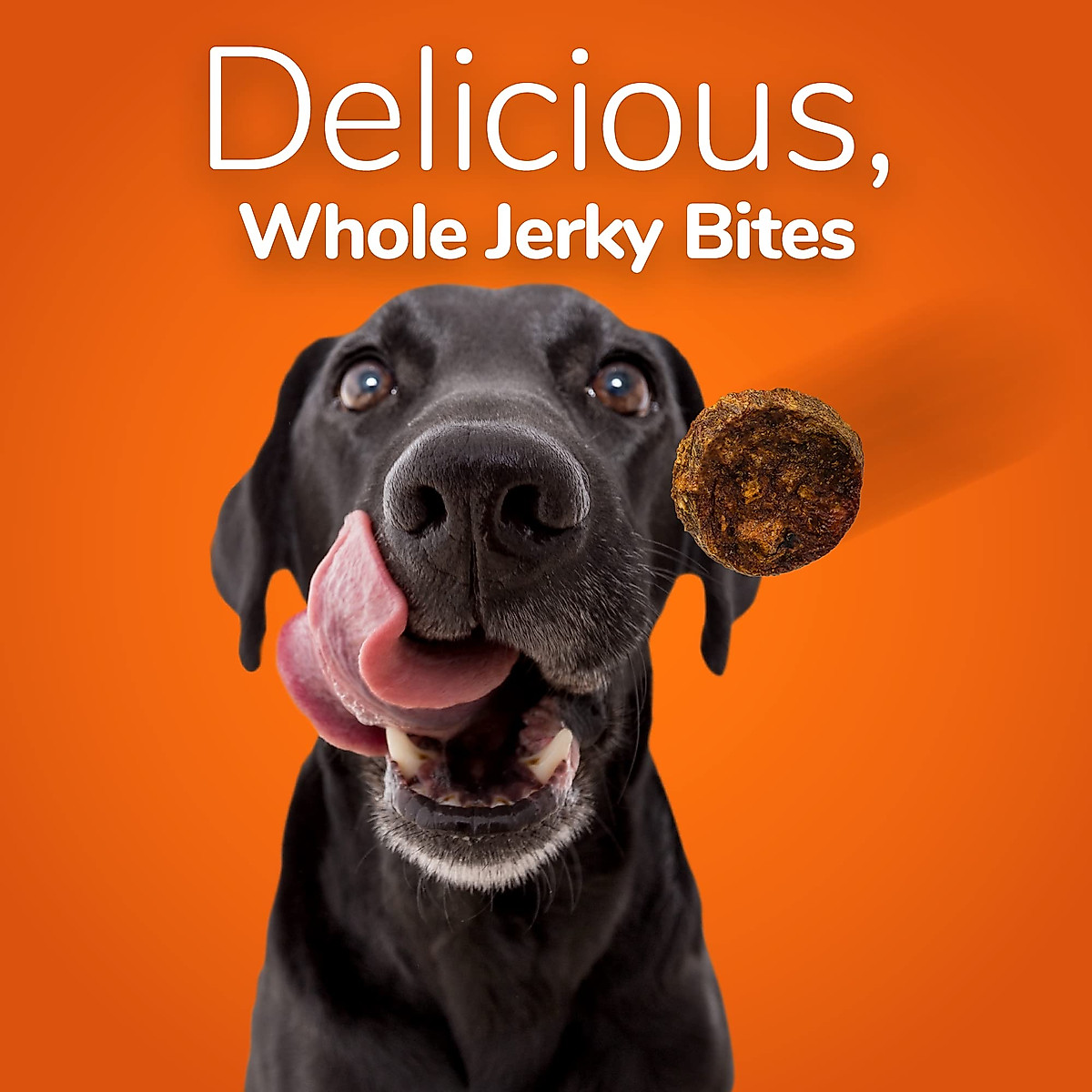 Fruitables Healthy Dog Treats – Whole Jerky Bites for Dogs – Alaskan Salmon & Pear Flavored – 5 Ounces