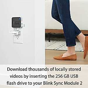 256GB Blink USB Flash Drive for Local Video Storage with The Blink Sync Module 2 Mount (Blink Add-On Sync Module 2 Itself is NOT Included)