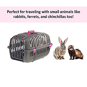 Ferplast Jet Pet Carrier: Value Dog Carrier Suitable for Toy Dog Breeds & Small Cats, Assembled Dimensions: 12.6L x 18.5W x 11.42H inches, Fuchsia