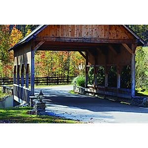 Progress Lighting P5487-20 Andover Outdoor, 9-1/2-Inch Diameter x 20-1/2-Inch Height, Antique Bronze