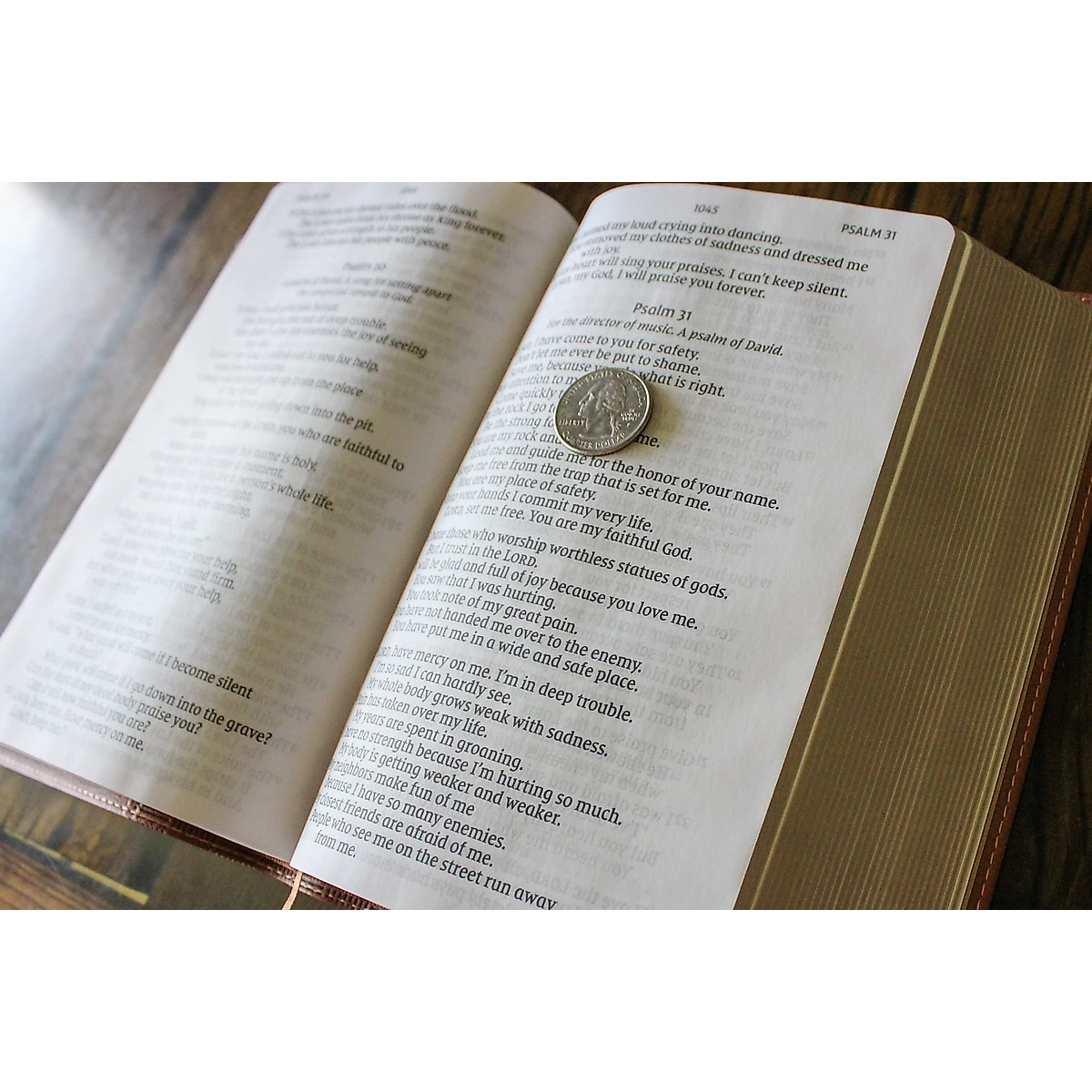 NIrV, Giant Print Compact Bible, Leathersoft, Brown, Comfort Print