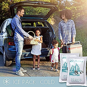 Shipping Ice Packs Reusable Small Dry Ice Pack Sheets 48 PCS, Ice Pack for Shipping Frozen Food Keep Food Fresh and Beverage Cold, Frozen Gel Packs Ice Brix for Coolers, 3.5 oz Capacity, 4.7" x 3.3"