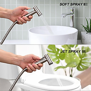 HQJUN Spray, Multifunctional Hand-held Bidet Spray, Bathroom Diaper Shower, Hose and Accessories - Bidet Hand-held Toilet Sprinkler with Dual Spray Function(Silvery)