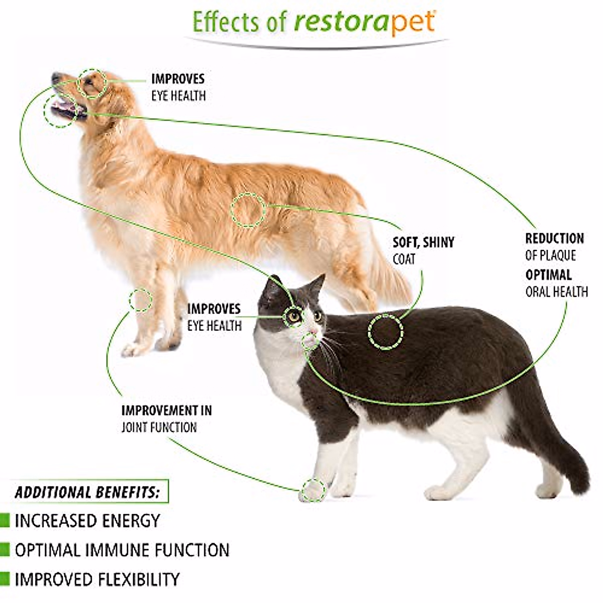 RestoraPet 1-Pack Dog & Cat Unflavored Liquid Multivitamin | Dog Arthritis Pain Relief | Hip&Joint Vitamins for Dogs | Anti Inflammatory Supplement for Dogs & Cats | Organic & Non-GMO, Vet Approved