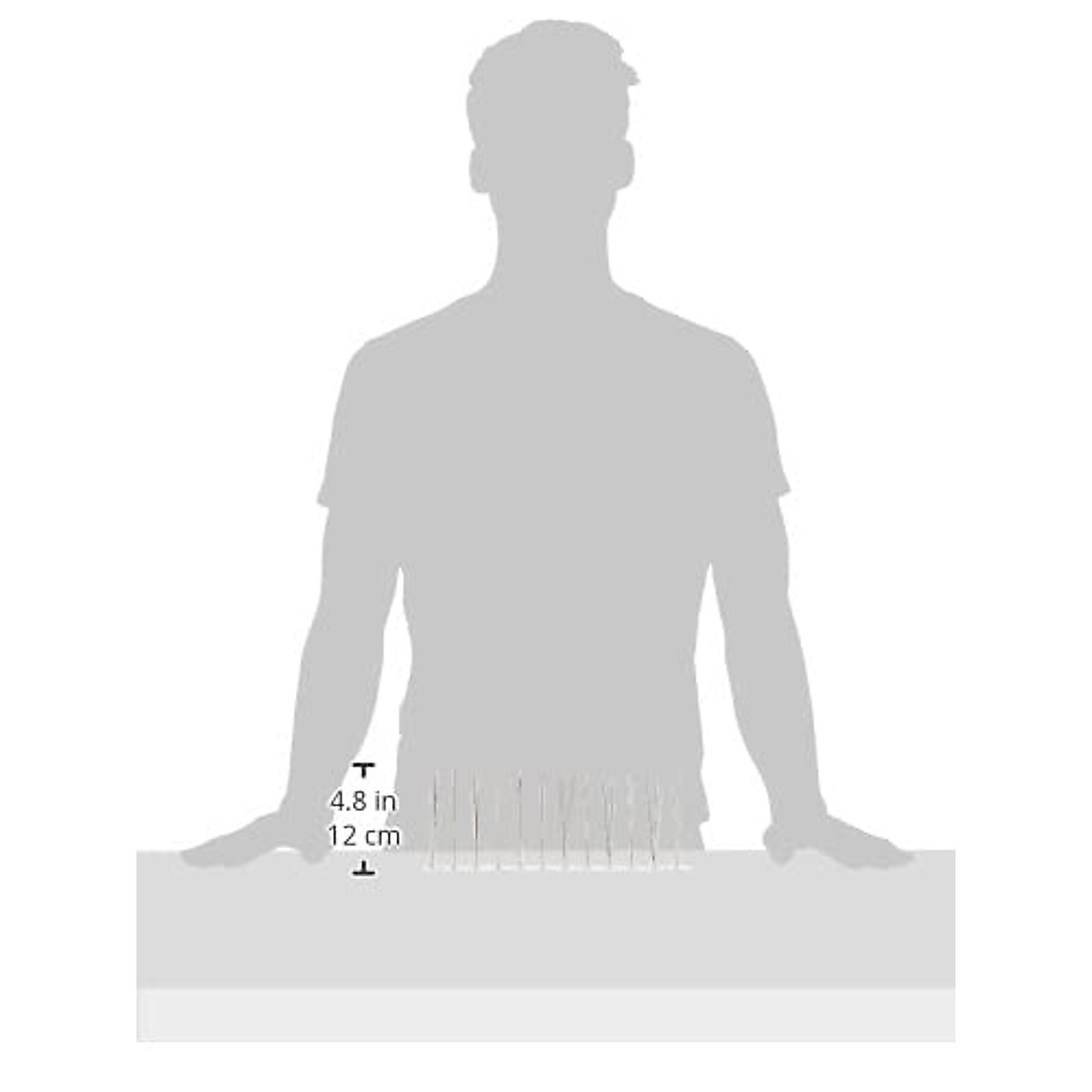 Bird-X Standard (STS-10-R) STAINLESS STEEL SPIKES-10, 10 feet