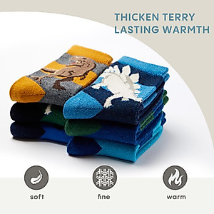 Lollisy Big Boys Wool Socks Kids Thick Winter Warm Socks Cartoon Thermal Crew Socks for Boys Dinosaurs 6 Pack Size 8-10 Years